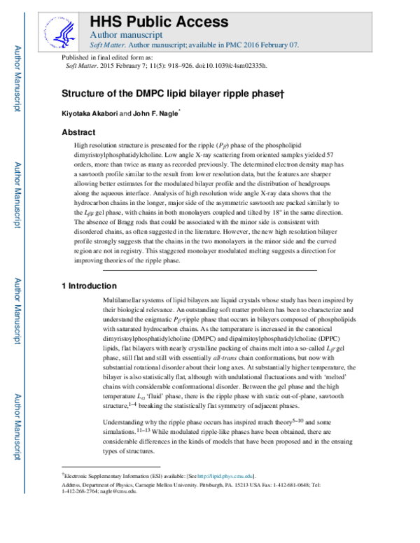 (PDF) Structure of the DMPC lipid bilayer ripple phase