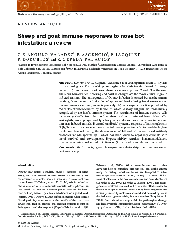 (PDF) Sheep and goat immune responses to nose bot infestation: a review