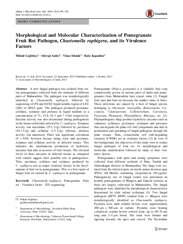 (PDF) Morphological and Molecular Characterization of Pomegranate Fruit ...