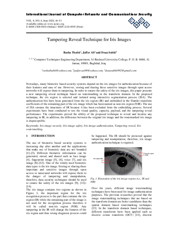 (PDF) Tampering Reveal Technique for Iris Images