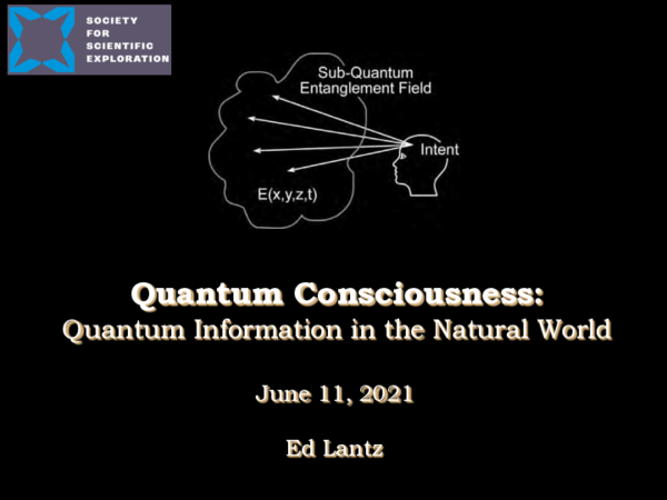 (PDF) Quantum Consciousness: Quantum Information in the Natural World