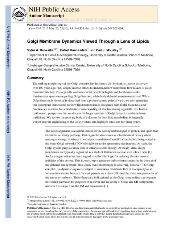 (PDF) Golgi Membrane Dynamics Viewed Through a Lens of Lipids