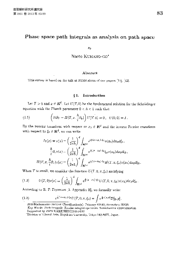 (PDF) Phase space path integrals as analysis on path space (Recent development of microlocal ...