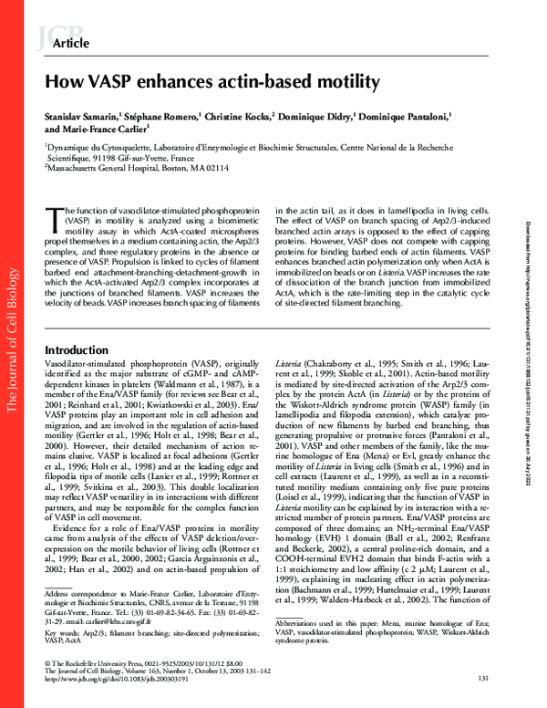 (PDF) How VASP enhances actin-based motility