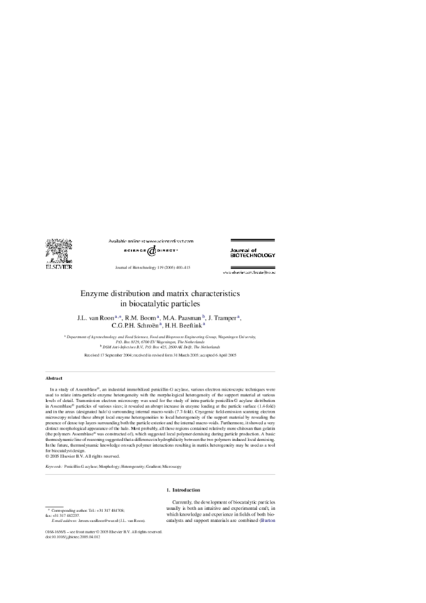 (PDF) Enzyme distribution and matrix characteristics in biocatalytic ...
