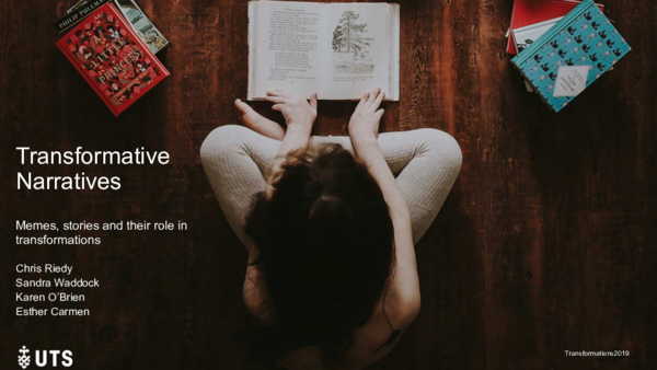 (PDF) Transformative narratives: Memes, stories and their role in ...