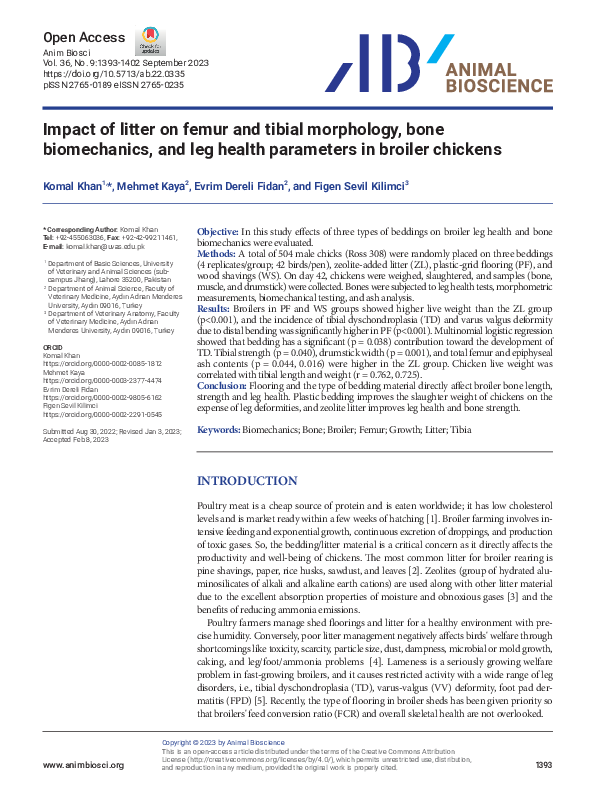 (PDF) Impact of litter on femur and tibial morphology, bone ...