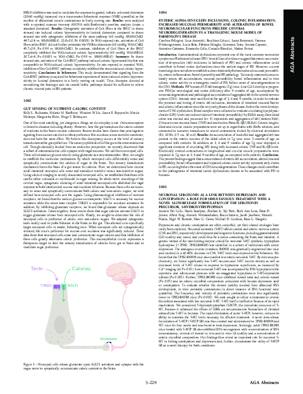 (PDF) 1085 – Neuronal Serotonin As a Link Between Depression and ...