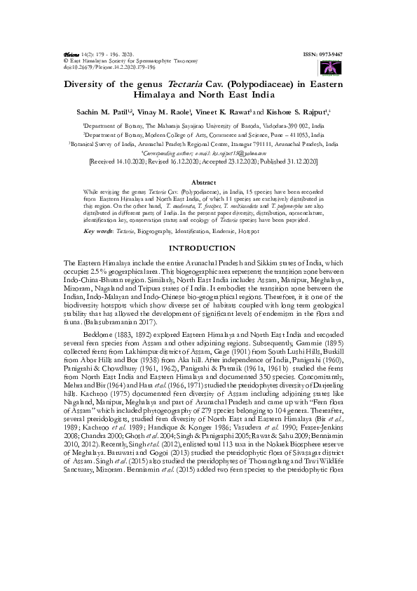 (PDF) Diversity of the genus Tectaria Cav. (Tectariaceae) in Eastern ...