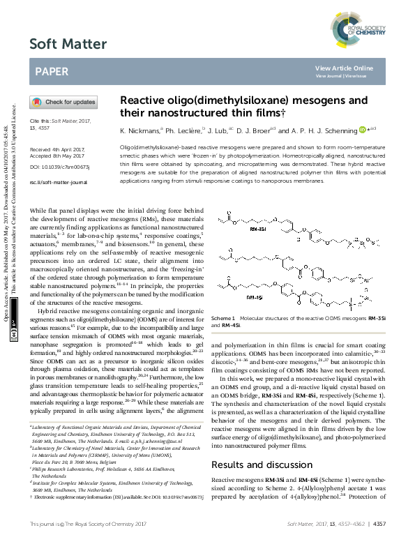 (PDF) Nanostructured Thin Films from Reactive Mesogens