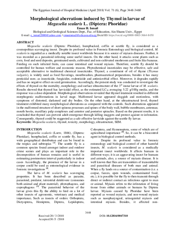 (PDF) Morphological and Molecular Characteristic of Megaselia scalaris ...