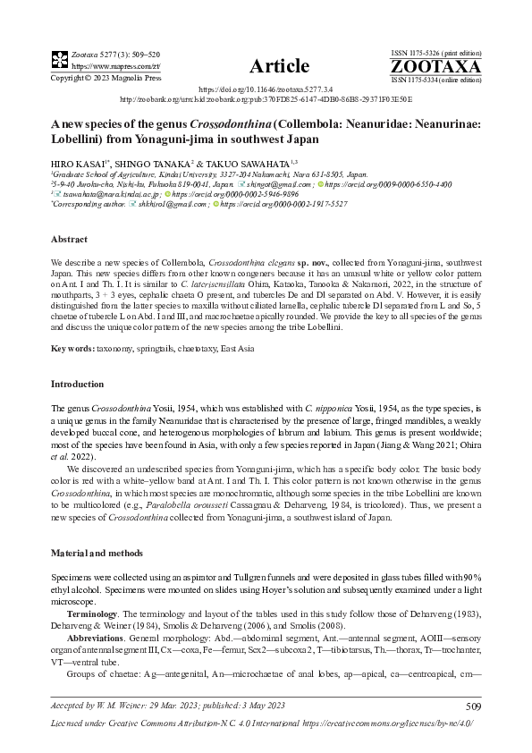 (PDF) A new species of the genus Crossodonthina (Collembola: Neanuridae ...