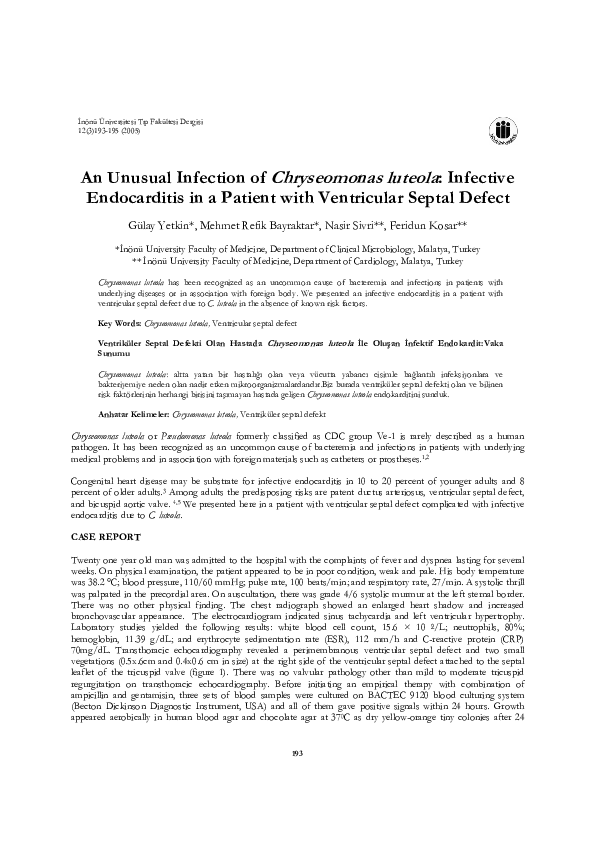 (PDF) An Unusual Infection of Chryseomonas luteola: Infective ...