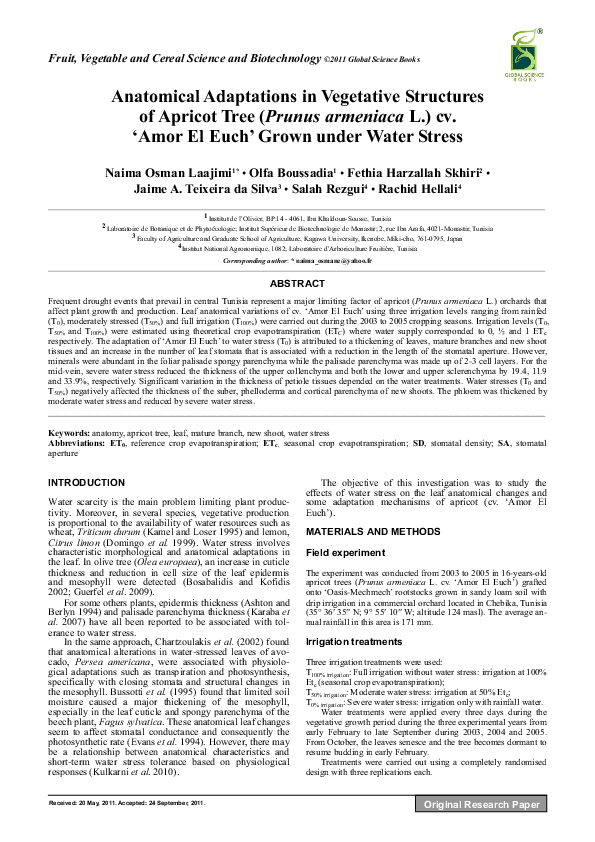 (PDF) Anatomical Adaptations in Vegetative Structures of Apricot Tree ...