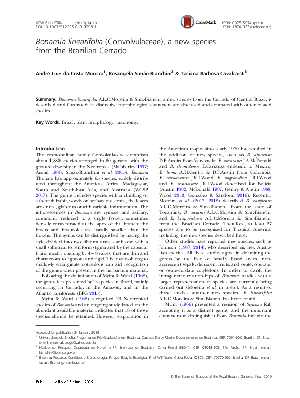 (PDF) Bonamia linearifolia (Convolvulaceae), a new species from the ...