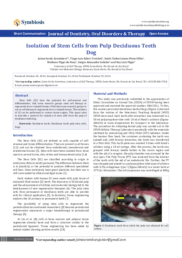 (PDF) Isolation of Stem Cells from Pulp Deciduous Teeth Dog