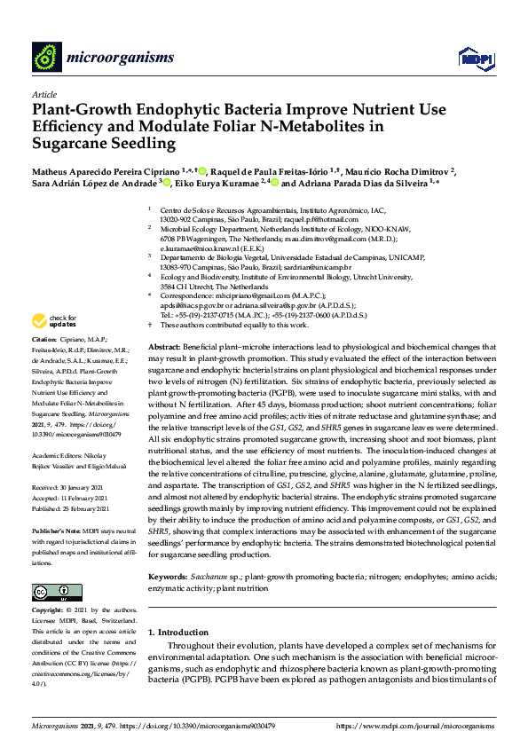 (PDF) Plant-Growth Endophytic Bacteria Improve Nutrient Use Efficiency ...
