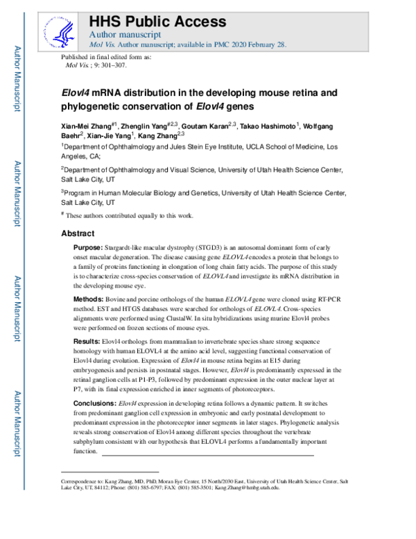 (PDF) Elovl4 mRNA distribution in the developing mouse retina and phylogenetic conservation of ...