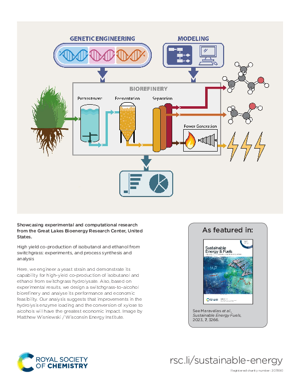 (PDF) High yield co-production of isobutanol and ethanol from ...