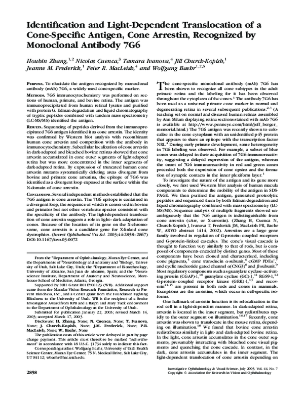 (PDF) Identification and Light-Dependent Translocation of a Cone ...