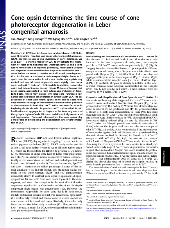 (PDF) Cone opsin determines the time course of cone photoreceptor ...