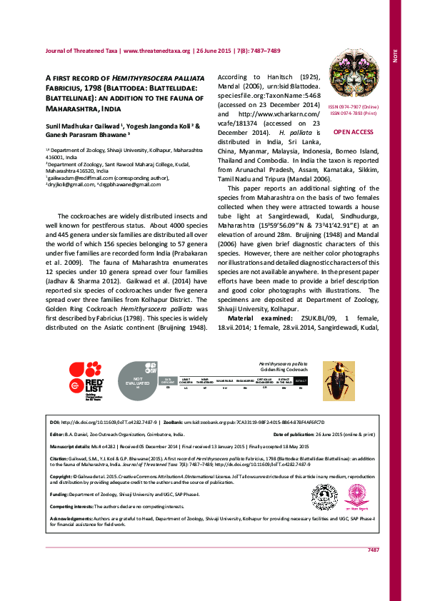 (PDF) A first record of Hemithyrsocera palliata Fabricius, 1798 ...