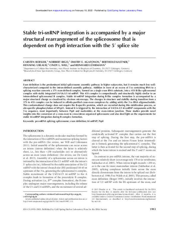 (PDF) Stable tri-snRNP integration is accompanied by a major structural ...