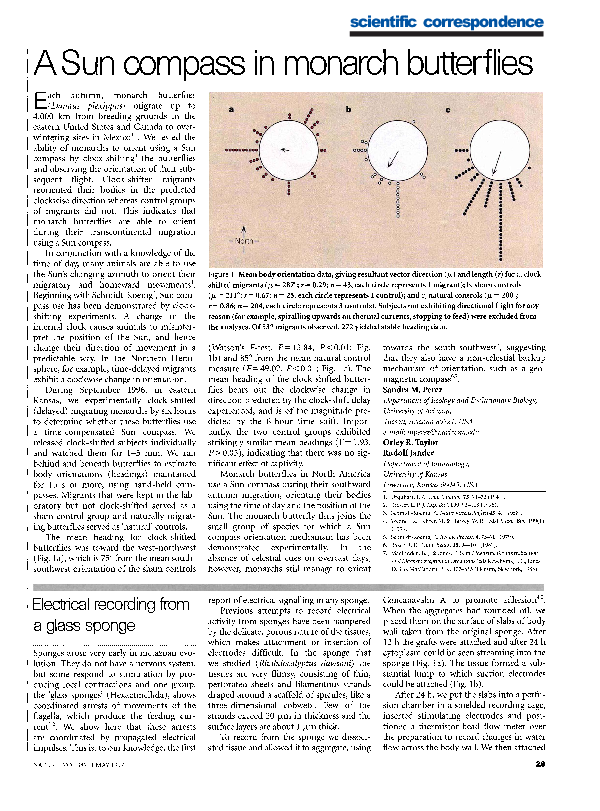 (PDF) A sun compass in monarch butterflies