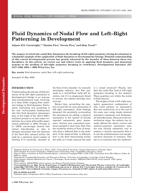 (PDF) Fluid dynamics of nodal flow and left-right patterning in development