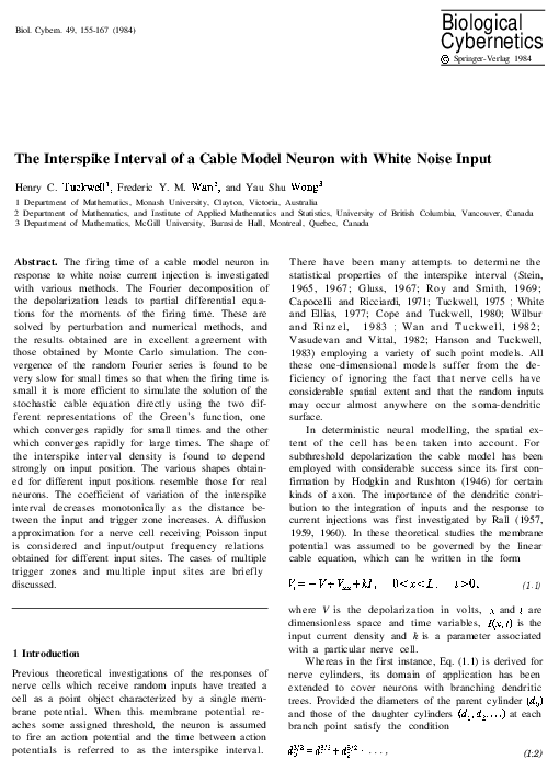 (PDF) The interspike interval of a cable model neuron with white noise input