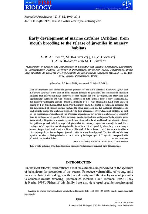 (PDF) Early development of marine catfishes (Ariidae): from mouth ...