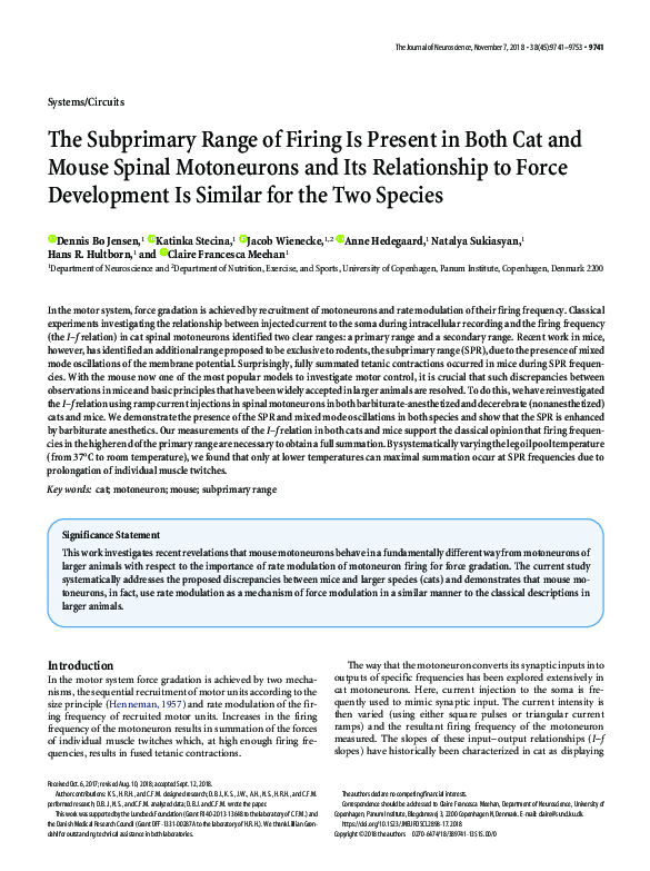 (PDF) The Subprimary Range of Firing Is Present in Both Cat and Mouse ...