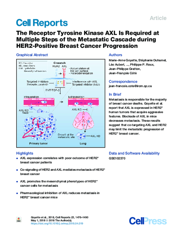 (PDF) The Receptor Tyrosine Kinase AXL Is Required at Multiple Steps of ...
