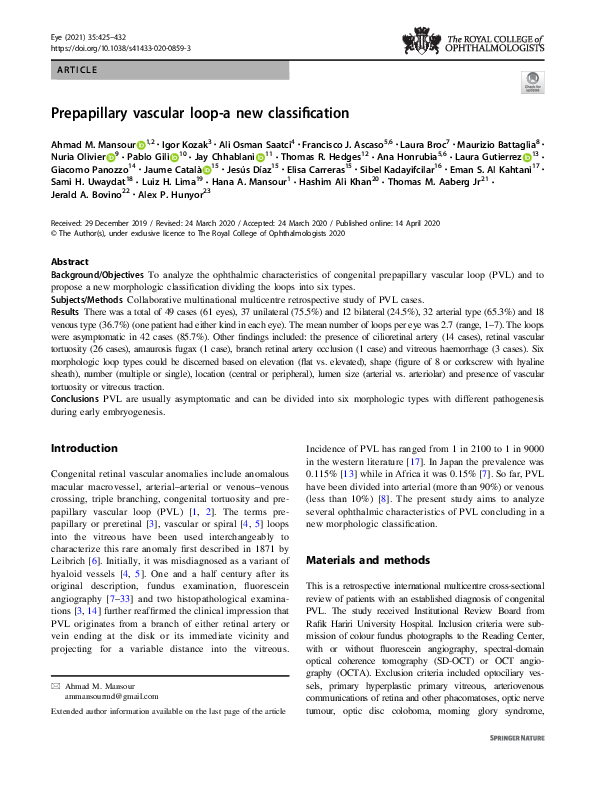 (PDF) Prepapillary vascular loop-a new classification
