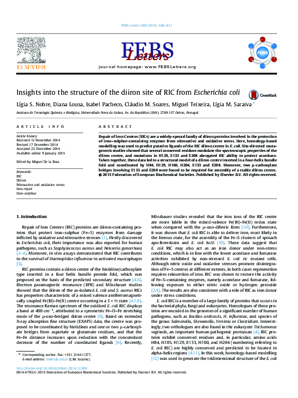 (PDF) Insights into the structure of the diiron site of RIC from ...