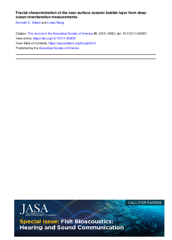 (PDF) Fractal characterization of the near-surface oceanic bubble layer ...