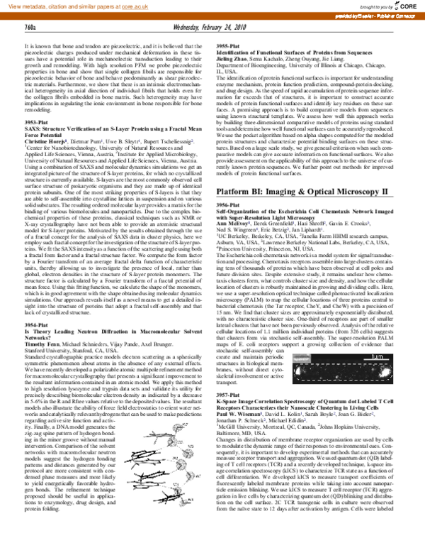 (PDF) SAXS: Structure Verification of an S-Layer Protein using a ...