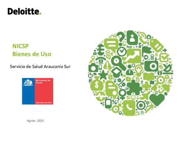 (PDF) Template Power Point Deloitte Chile
