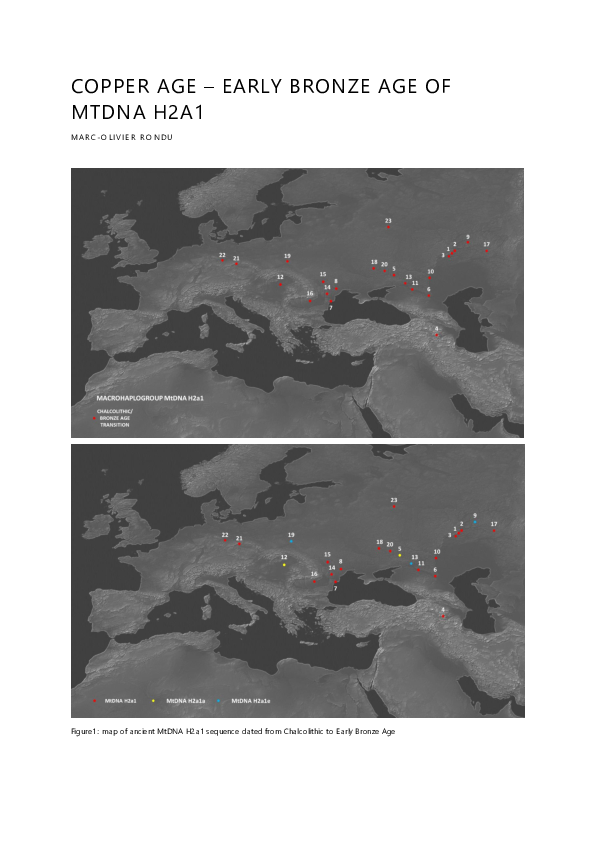 (PDF) COPPER AGE - EARLY BRONZE AGE OF MtDNA H2a1