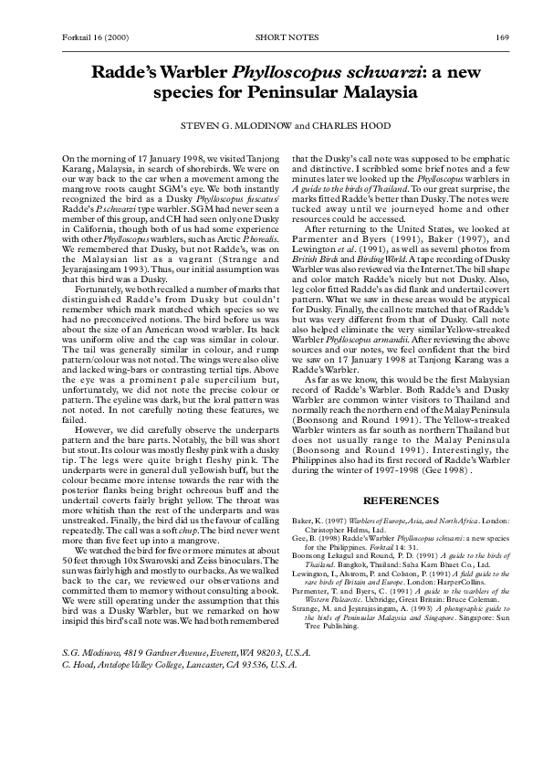 (PDF) Radde's Warbler Phylloscopus schwarzi: a new species for ...