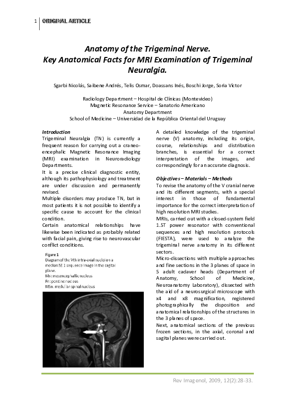 (PDF) Anatomy of the Trigeminal Nerve. Key Anatomical Facts for MRI Examination of Trigeminal ...