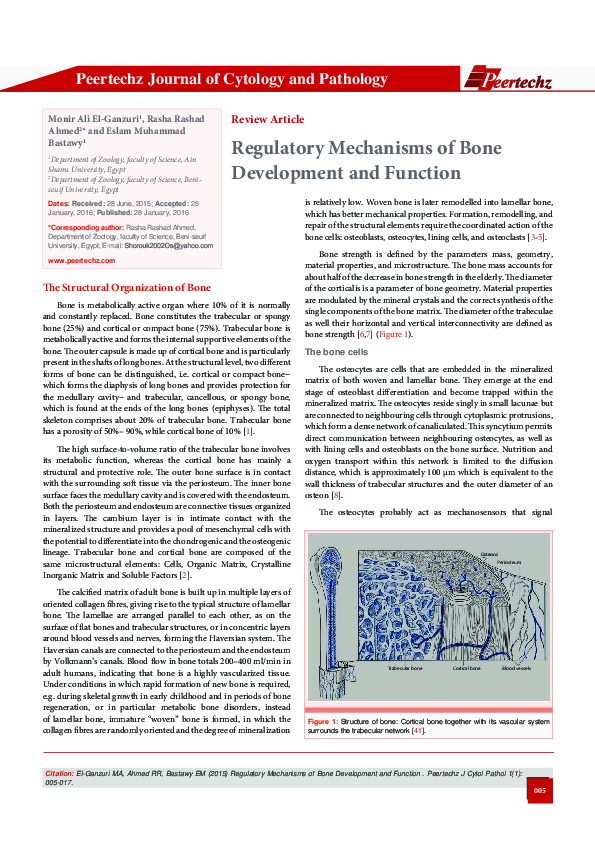 (PDF) Regulatory Mechanisms of Bone Development and Function