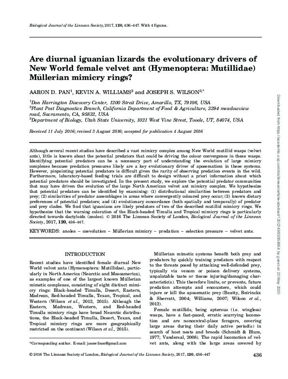 (PDF) Are diurnal iguanian lizards the evolutionary drivers of New ...