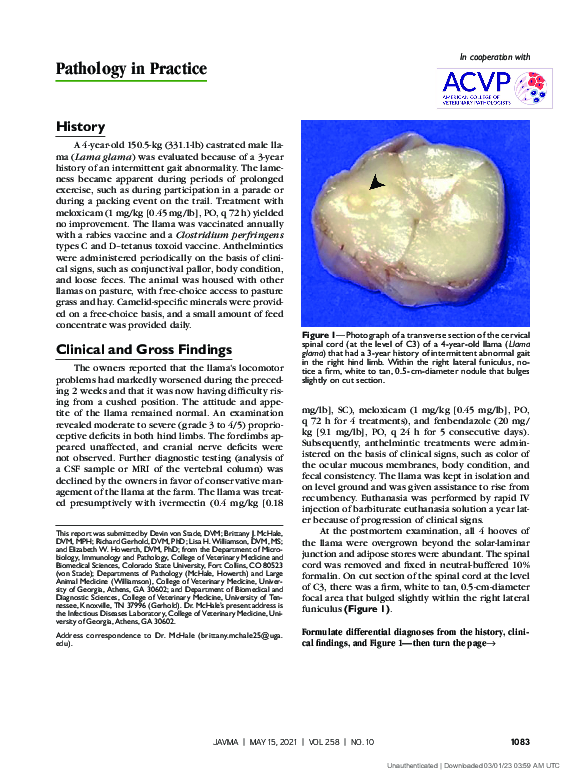 (PDF) Pathology in Practice