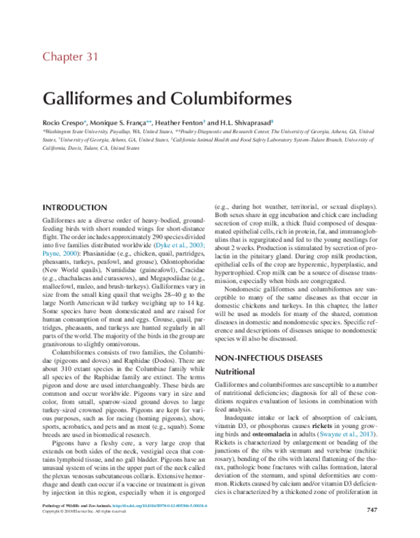 (PDF) Galliformes and Columbiformes