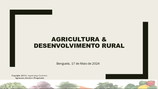 (PDF) Agricultura e Desenvolvimento rural em Angola; Angolar Jorge ...