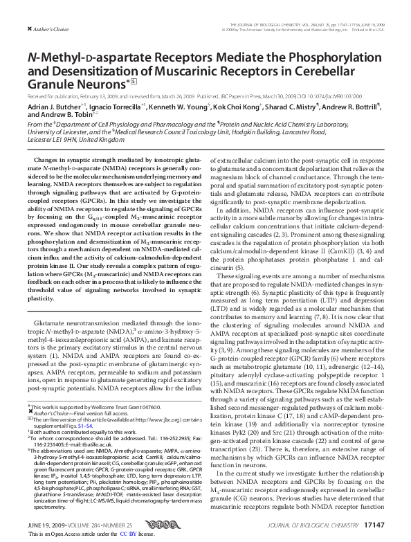 (PDF) N-Methyl-d-aspartate Receptors Mediate the Phosphorylation and ...