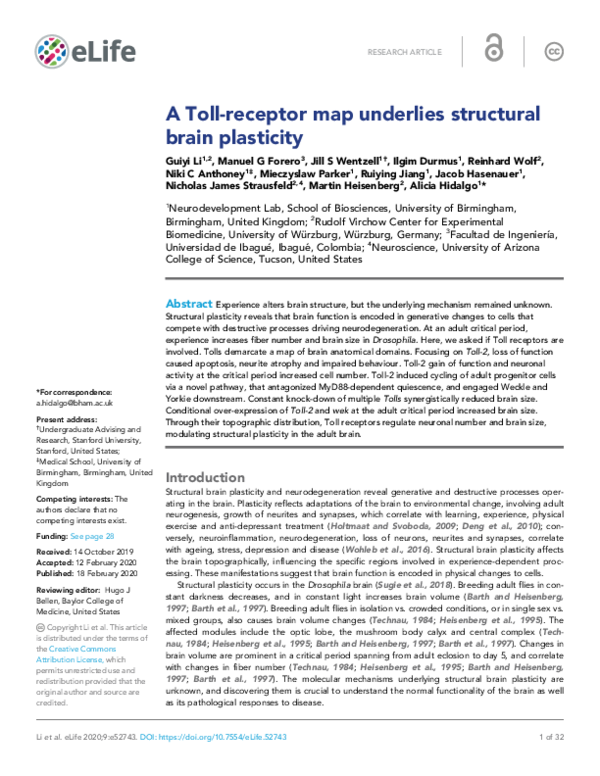 (PDF) A Toll-receptor map underlies structural brain plasticity ...