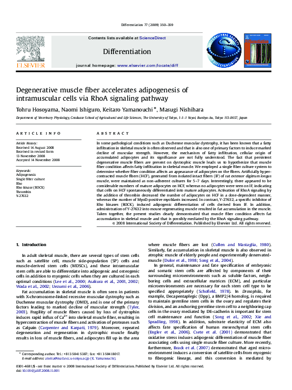 (PDF) Degenerative muscle fiber accelerates adipogenesis of ...