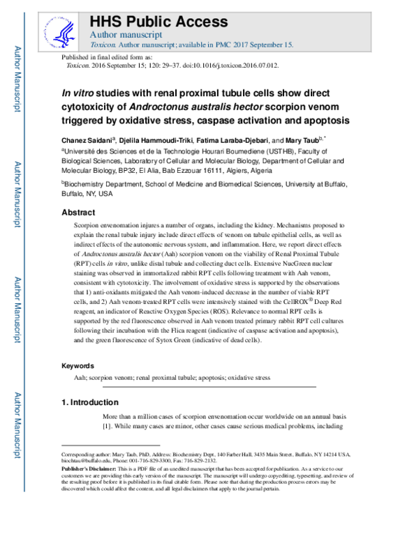 (PDF) In vitro studies with renal proximal tubule cells show direct ...